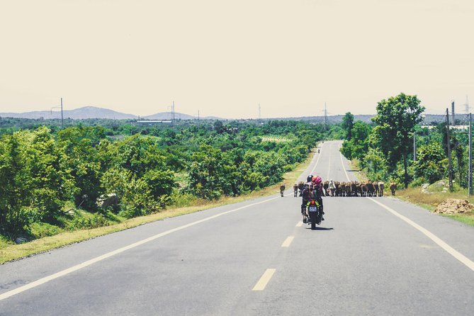 01 Day Easy Rider from Da Lat to Mui Ne by motorbike - What Travelers Say: Authentic Experiences and Genuine Enjoyment