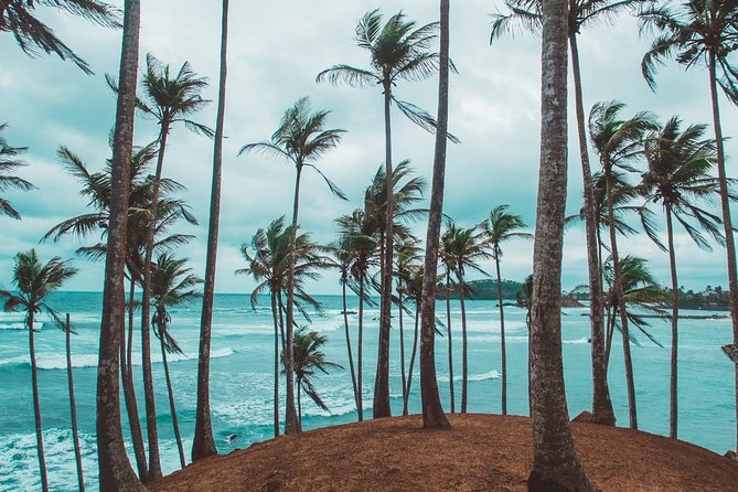 03 Days Beach Holidays in Sri Lanka with Kingfisher - Authentic Experiences Highlighted by Reviews