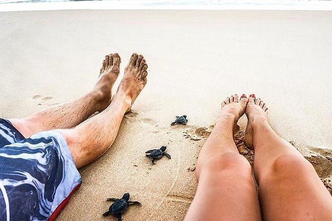 03 Days Beach Holidays in Sri Lanka with Kingfisher - FAQ