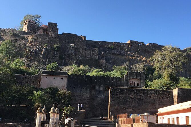 03 Days Private Ranthambore Wildlife Safari Tour From Delhi - Overview of the Itinerary