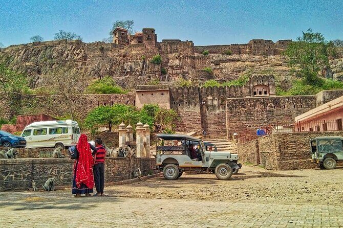 03 Days Private Ranthambore Wildlife Safari Tour From Delhi - The Value of This Experience
