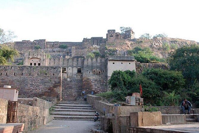 03 Days Private Ranthambore Wildlife Safari Tour From Delhi - Real Insights from Reviews