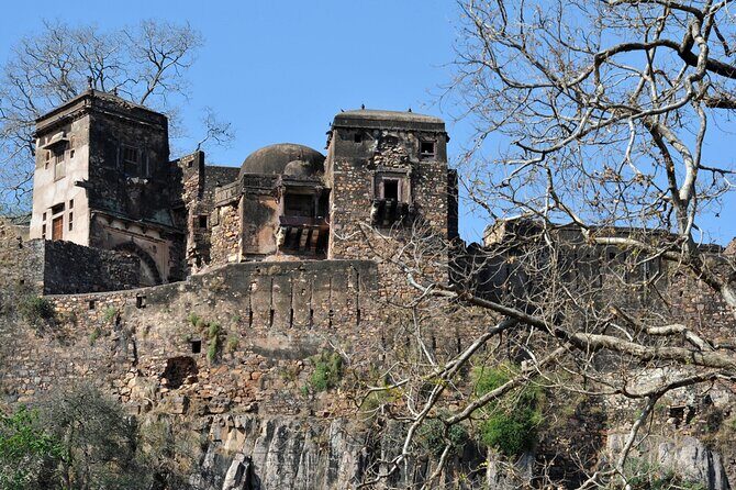 03 Days Private Ranthambore Wildlife Safari Tour From Delhi - FAQ