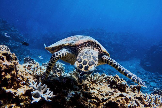 03 Days Sri Lanka Tour - Wild Life Hotspots - What’s Included and What to Budget For
