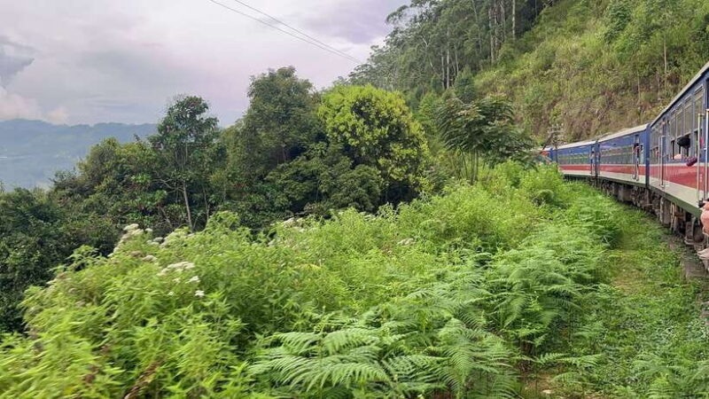 04 Days Explore Sri Lanka's Treasure - The Experience: What Travelers Are Saying