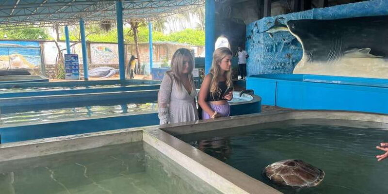 04 Days Explore Sri Lanka's Treasure - Who Is This Tour Best For?