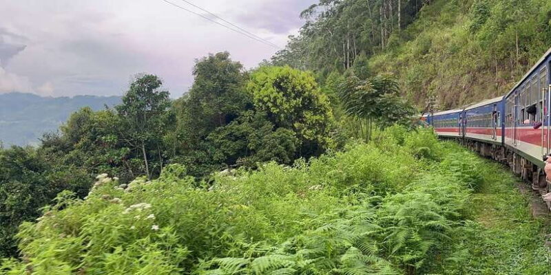 04 Days Explore Sri Lanka's Treasure - Final Thoughts