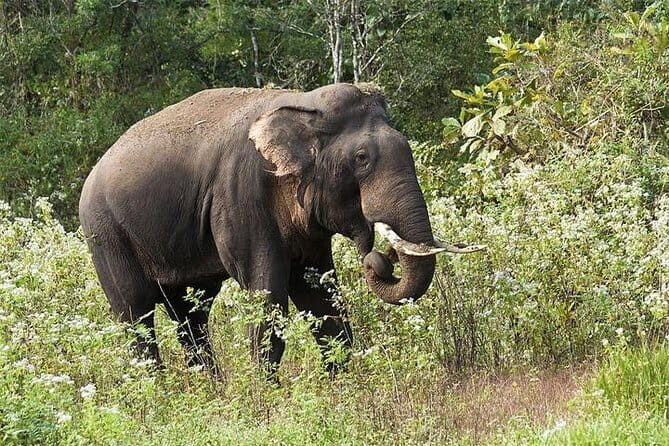 06 Days God's Own Country Kerala - Key Points