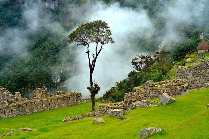 07 Day: Inca Jungle Adventure With Mountain Bike, Rafting, Zipline & Trek - Traveler Recommendations and Reviews