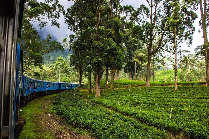 07 Days Amazing Experience - Practical Aspects and Value