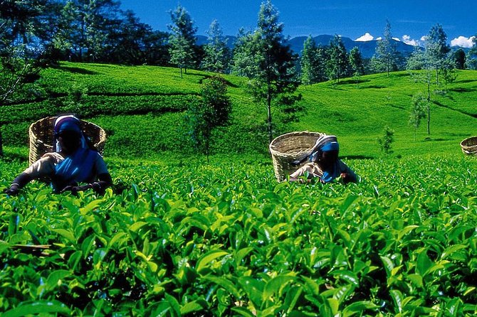 07 Days Amazing Experience - Who Is This Tour Best For?