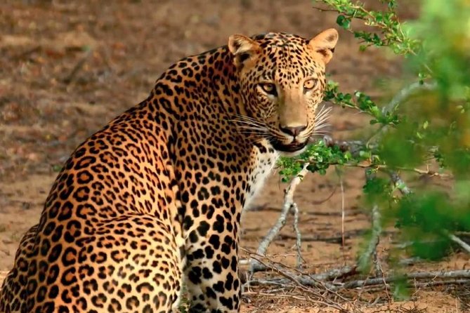 07 Days Amazing Experience - Final Thoughts