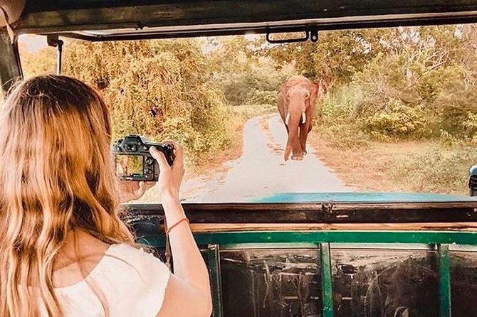 08 - Day Classic Tour with English speaking drive and Private luxury vehicles - An In-Depth Look at the 8-Day Sri Lanka Classic Tour