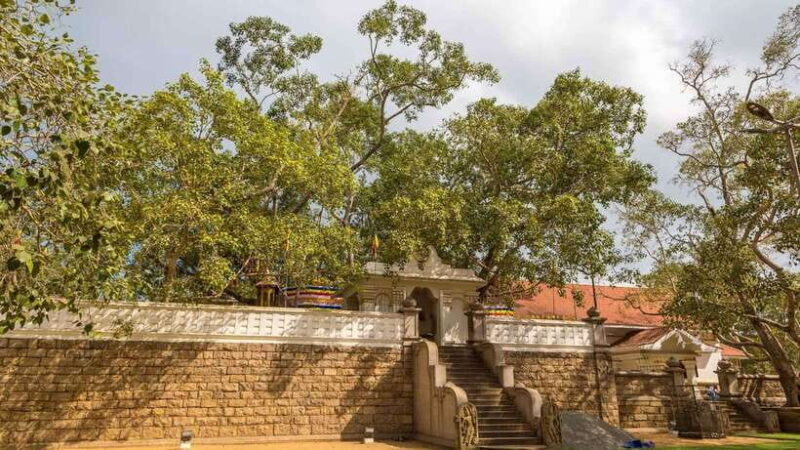09 Days Heritage Trails of Sri Lanka - In-Depth Look at the Itinerary