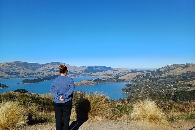 1/2-day Christchurch Scenic Highlights (Private Shore Excursion) - A Complete Look at the Christchurch Scenic Highlights Tour