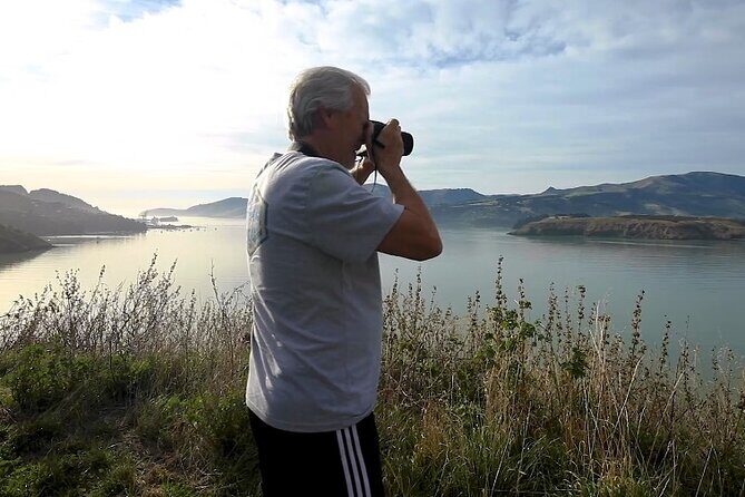 1/2-day Christchurch Scenic Highlights (Private Tour) - The Practical Side: Logistics, Timing, and Value