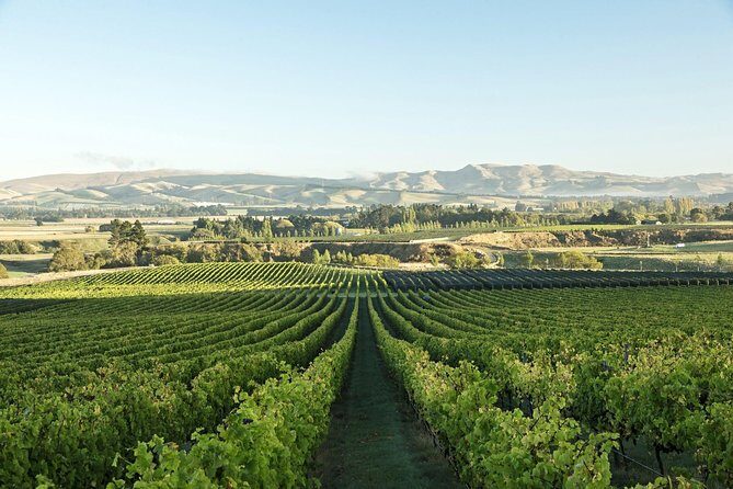 1/2-day Christchurch Scenic Highlights (Private Tour) - Final Thoughts: Who Should Book This Tour?