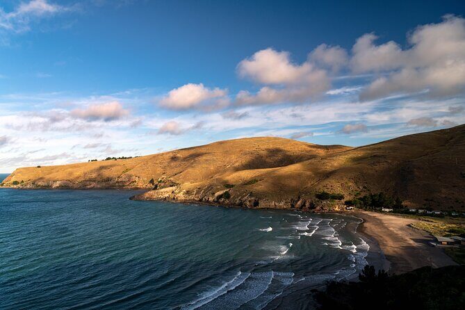 1/2-day Christchurch Scenic Highlights (Shore Excursion) - Who Should Consider This Tour