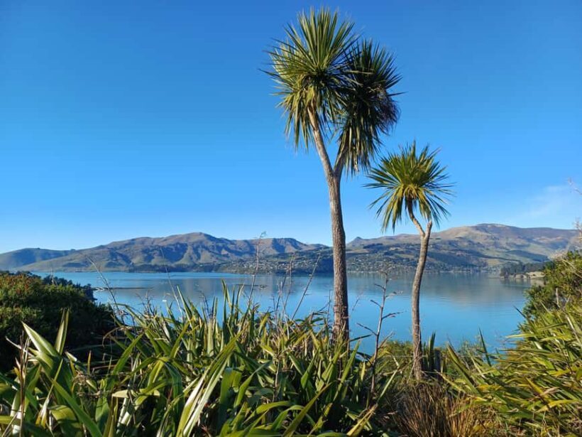 1/2-Day Christchurch Scenic Highlights Small Group Tour - Final Thoughts