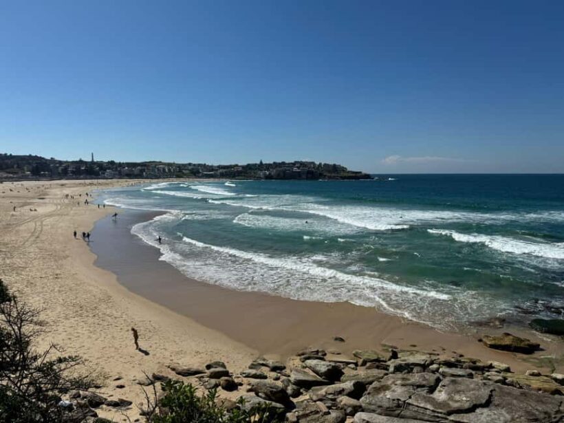1/2 day Sydney Sightseeing and Bondi Beach Tour - The Sum Up