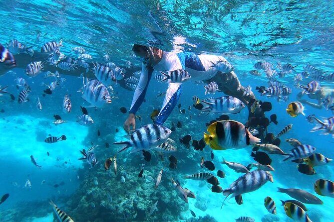 1/2 day Tahaa coral garden - departure Raiatea / ideal for cruise passengers - Cost and Value: What You’re Getting