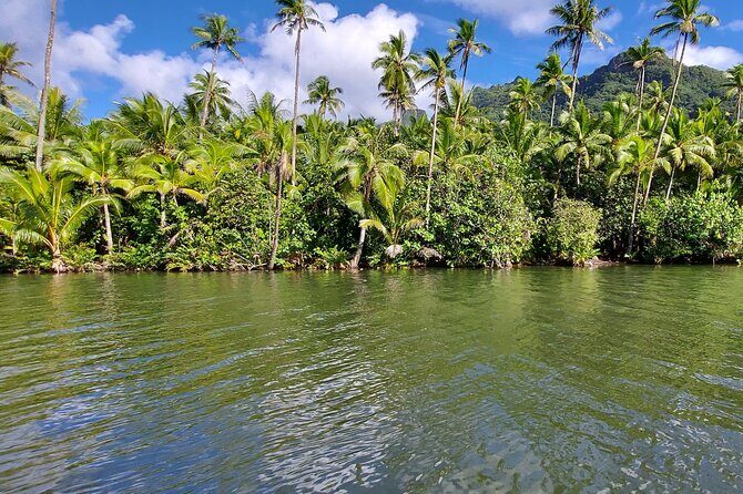 1/2 day "Treasures of Raiatea" by boat - ideal for cruise passengers - Introduction: Discovering Raiatea in Half a Day