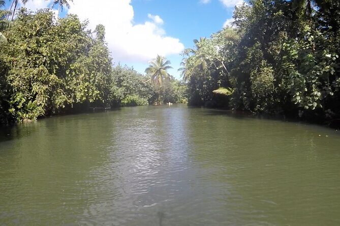 1/2 day "Treasures of Raiatea" by boat - ideal for cruise passengers - Summing Up: Who Will Love This Tour?