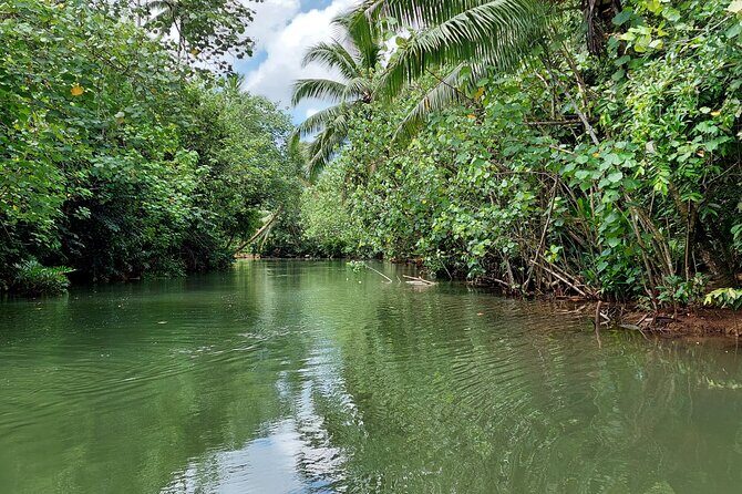 1/2 day "Treasures of Raiatea" by boat - ideal for cruise passengers - FAQ