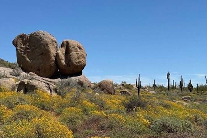 1-2 Hour Sonoran Desert Private Guided Hiking Tour - Booking Your Private Guided Hike