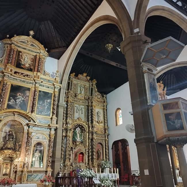 1-2 hour walking route through Puerto de la Cruz, Tenerife - Summary: Who Is This Tour Best For?