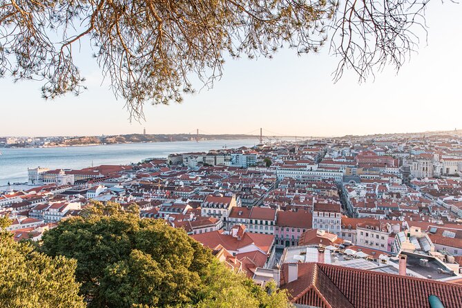 1.5 Historical Tour Lisbon Center and Viewpoints Private Tuk Tuk - Navigating the Alfama District