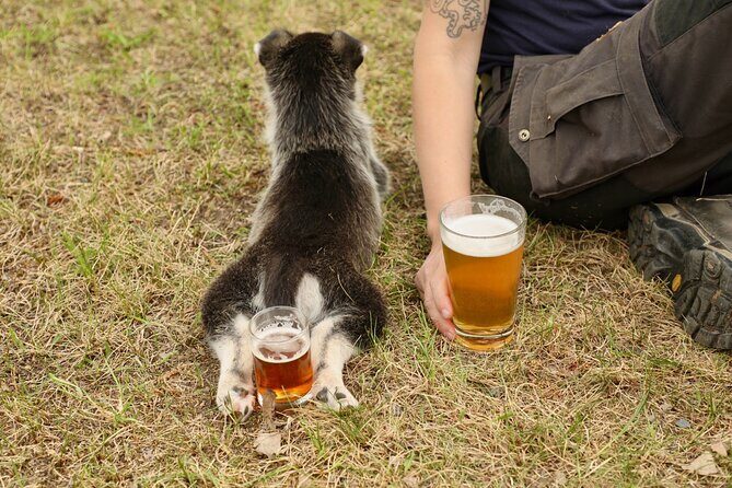1.5-Hour Beer and Puppies Guided Experience in Fairbanks - What to Expect at the Tour