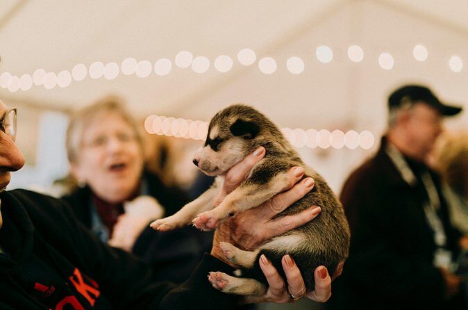 1.5-Hour Beer and Puppies Guided Experience in Fairbanks - The Sum Up