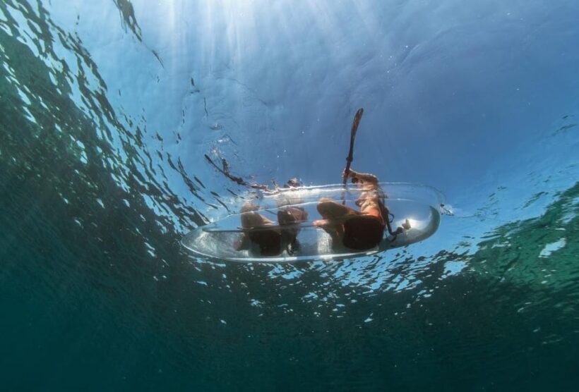 1.5-hour Clear Kayak Rentals: Explore the Underwater World - The Value and Why It Works