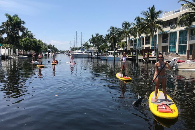 1.5 Hour Paddle Board Rental with Instruction - Authentic Feedback from Participants