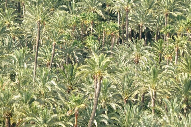 1.5 hour private tour of the Basilica of Santa Maria - FAQ