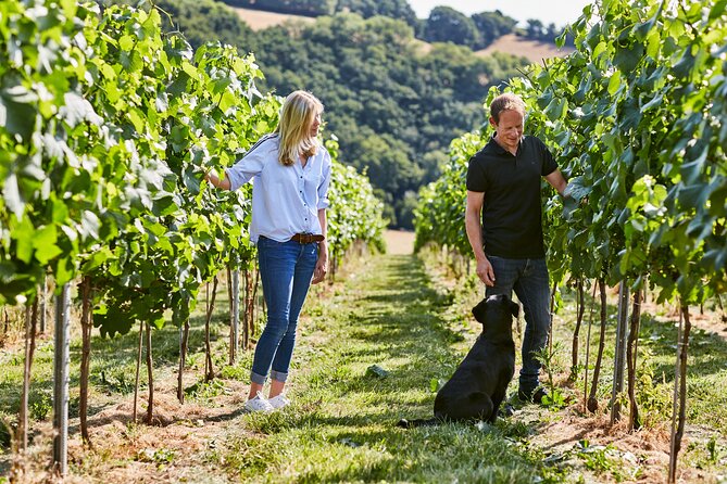 1.5-Hour Swanaford Vineyard Tour And Tasting Experience - Exploring the 1.5-Hour Swanaford Vineyard Tour and Tasting Experience