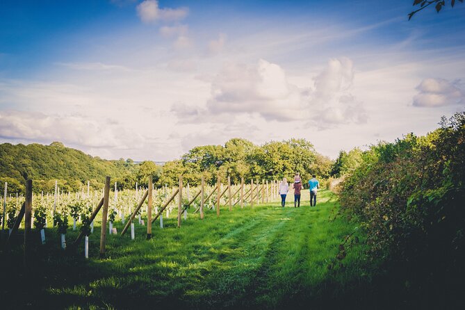 1.5-Hour Swanaford Vineyard Tour And Tasting Experience - What Reviewers Love Most