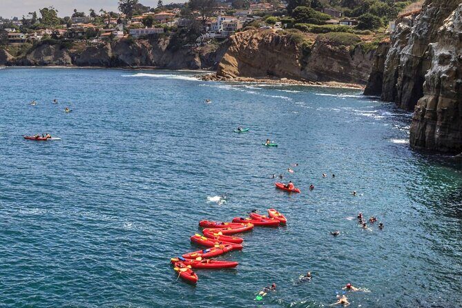 1.5 Hour Walking Tour from La Jolla in San Diego - The Sum Up: Who Should Take This Tour?