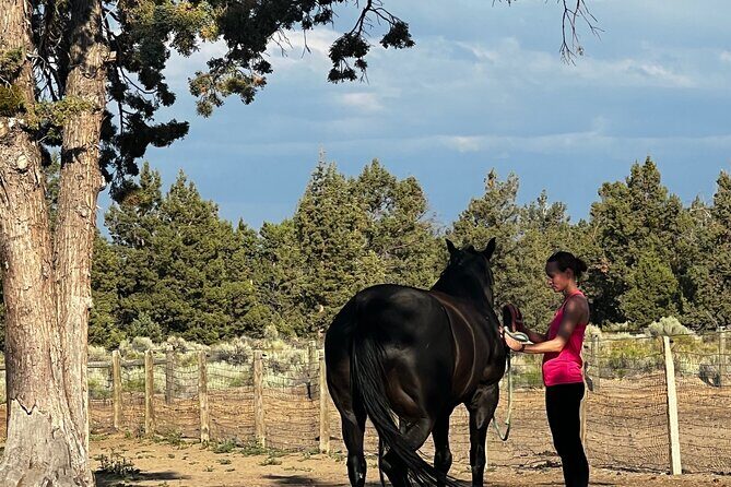 1.5 Hours Private Meditations with the Horses in Oregon - An In-Depth Look at the Experience