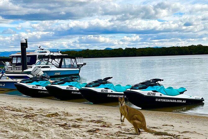 1.5 hr Jet Ski Safari tour to South Stradbroke Island! - Itinerary Breakdown: What Makes Each Part Special
