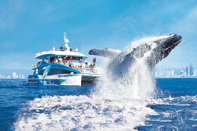 1.5 hr Jet Ski Safari tour to South Stradbroke Island! - Authentic Feedback: What Travelers Say
