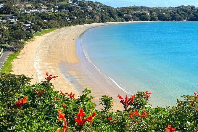1.5h Waiheke Guided Scenic Tour in our Electric Van - Exploring Waiheke with a Guided Electric Van: What to Expect