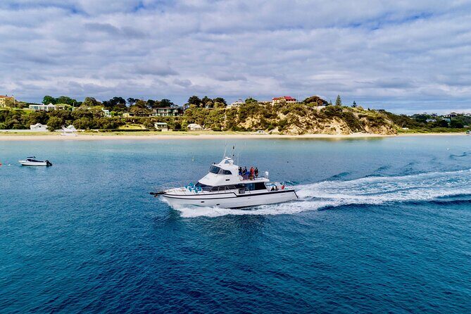 1.5hour Scenic and Wildlife luxury cruise - The Sum Up