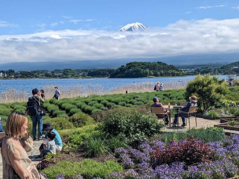 1 Day 10 Hrs Mt Fuji & Lake Kawaguchiko Tour With Eng Driver - Itinerary Highlights