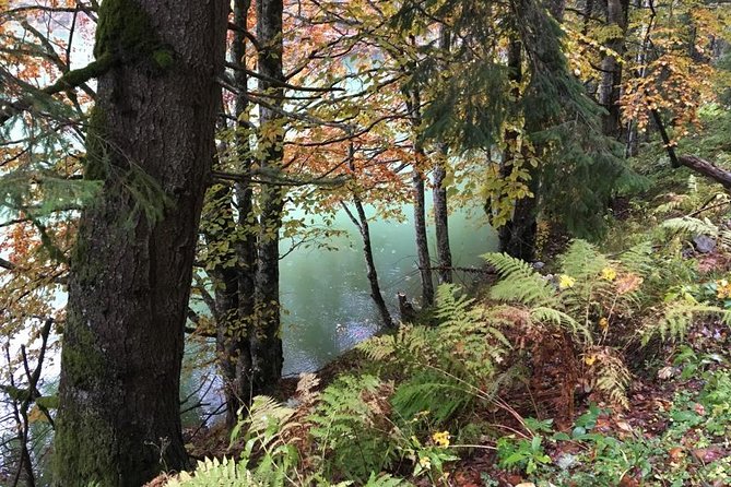 1 Day 4x4 Tour in Carpathian Mountains - FAQ