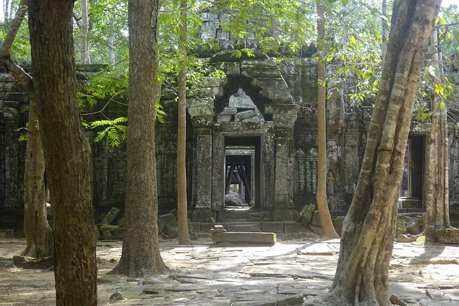 1-Day Angkor Wat Sunrise & All Interesting Temples Private Tour - Who Is This Tour Best For?