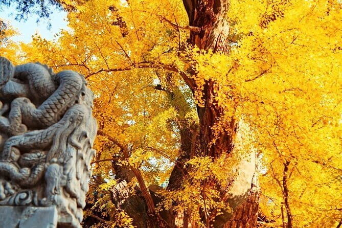 1-Day Beijing Private tour: Mutianyu Great Wall and Summer Palace - The Sum Up