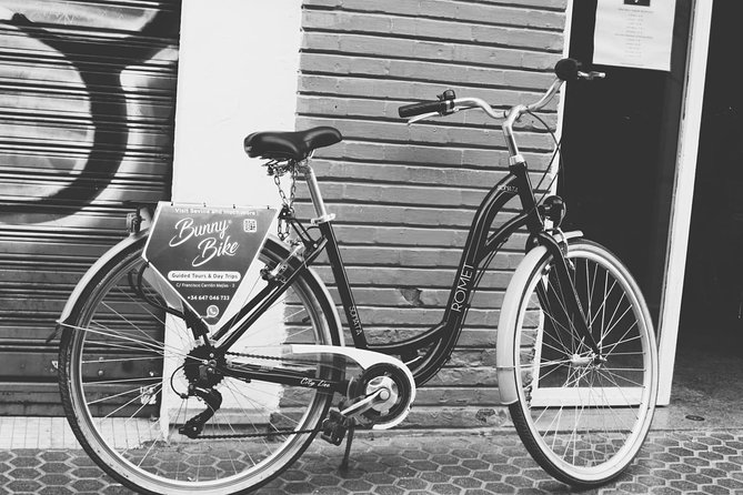 1 Day Bike Rental in Seville City - Pricing Details and Payment Options