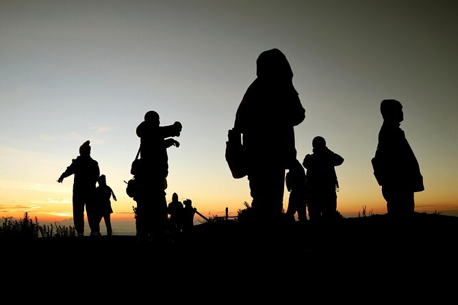 1 Day - Bromo Sunrise Romantic Breakfast // 00.30 - 13.00 - Authentic Experiences and Real Traveler Feedback